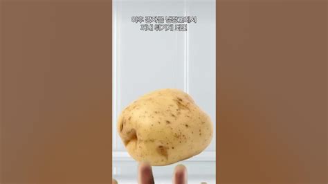 감자튀김에 있는 검은 점 뭘까 멍 아님 Youtube