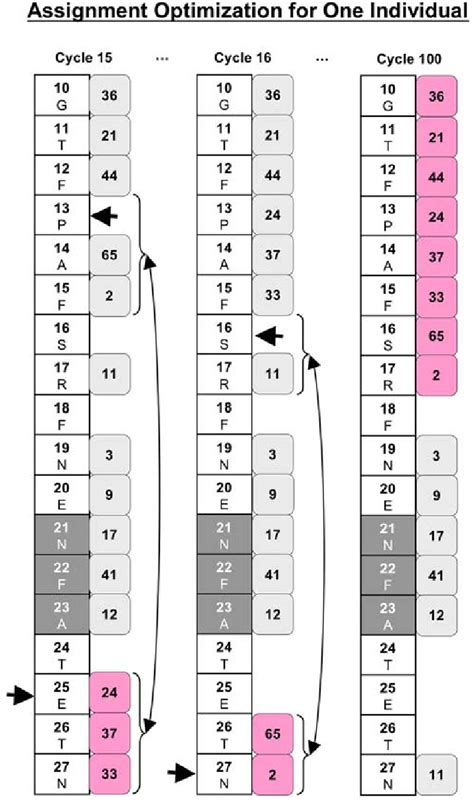 Assignment Optimization [6] In The Template Graph Fig 1 The
