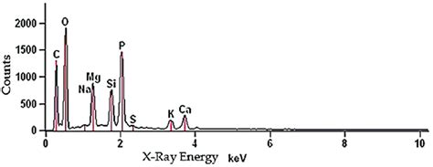 The Eds Spectrum Of Brewers Grains Download Scientific Diagram