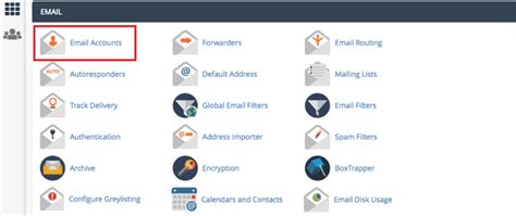 Optimizing Email Management With CPanel A Complete Guide ScalaHosting Blog