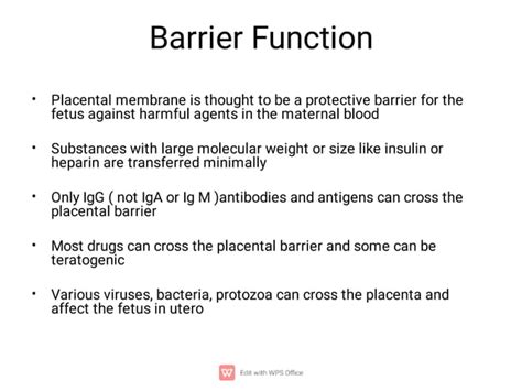 Placenta And Amniotic Fluid Structure Function Pdf