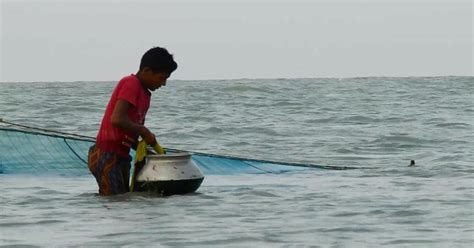 Weekly Links July 15 Us Edition What Does Police Bias Have To Do