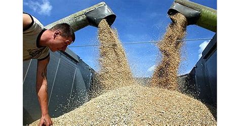 ЗЪРНОПРОИЗВОДИТЕЛИТЕ вижте Франция тя подкрепя зърнения си сектор спешно Български Фермер