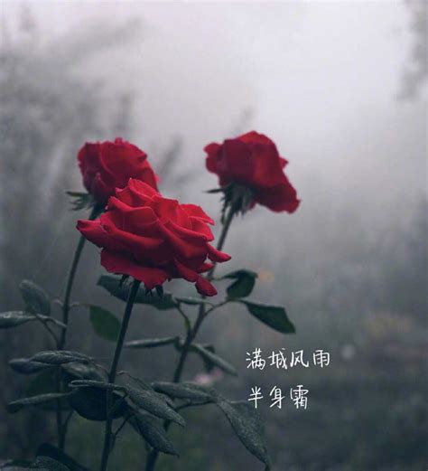 如何高效准确地自查艾滋病毒详解艾滋试纸使用方法 艾滋病检测 艾测网