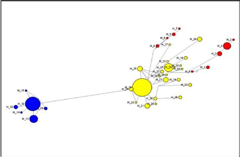 Median Joining Network With The Mtdna Control Region Haplotypes Of Pink