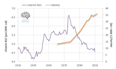 What Is Nutrient Density And Why It Matters Optimising Nutrition