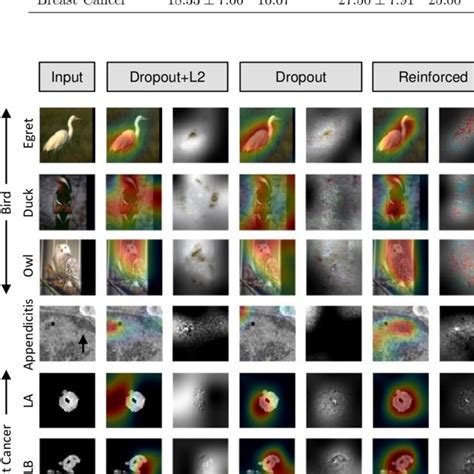 Description Of The Classification Datasets Download Scientific Diagram