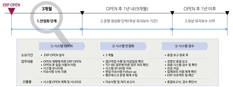 [연재④] 기업에서의 Erp 구축 프로세스