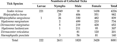 Numbers Of Collected Ticks Species Life Stages And Sex Download