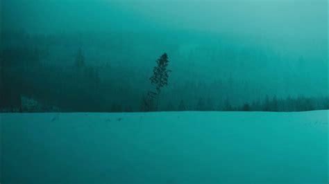 Nirja A Carousel Of Memories Youtube