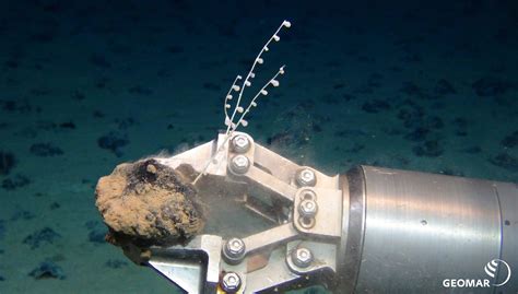 Whaling Nation First To Enable Deep Sea Mining
