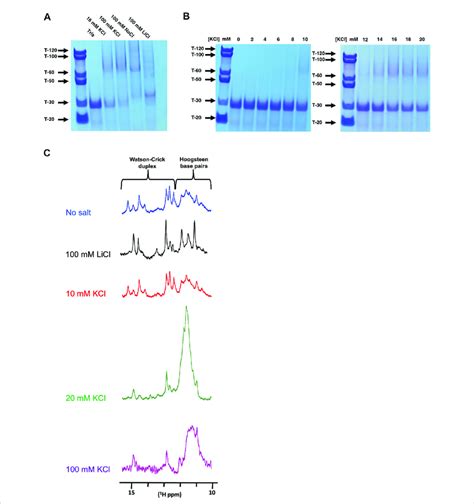 Native Page And Nmr Analysis Of Q2 163 192 At Different K Download Scientific Diagram