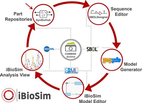 This Is A High Level Diagram Of The Genetic Circuit Design Workflow Download Scientific Diagram
