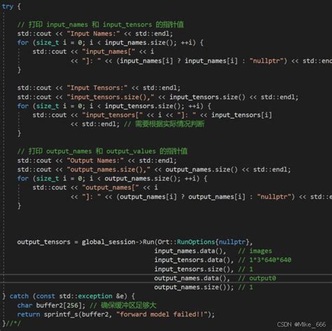 Session ＞run时遇到的问题non Zero Status Code Returned While Running Softma