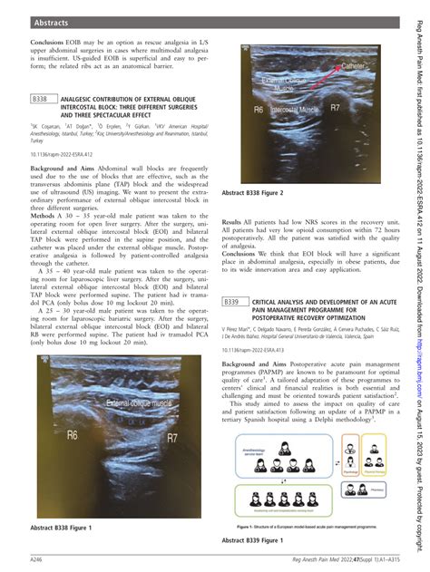 Pdf B338 Analgesic Contribution Of External Oblique Intercostal Block Three Different