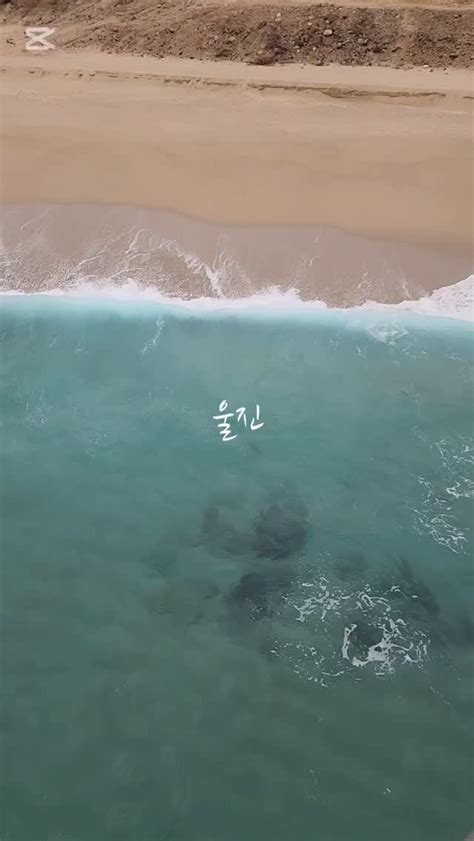 정대윤 푸른 물빛은 깊고 넓어서 마치 영원처럼 끝없이 펼쳐져 있다 바람은 차가워졌지만 바다의 온기는 여전히 남아 있다 말없이 그저 바라만 보아도 모든 것이