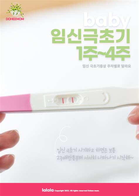 임신 극초기 증상 1주차 2주차 3주차 4주차 체크해요 네이버 블로그