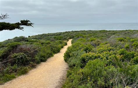 Garrapata State Park A Preserved Natural Gem South Of Carmel By The