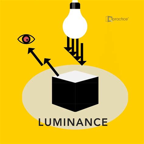 Luminance Qpractice Ncidq Glossary