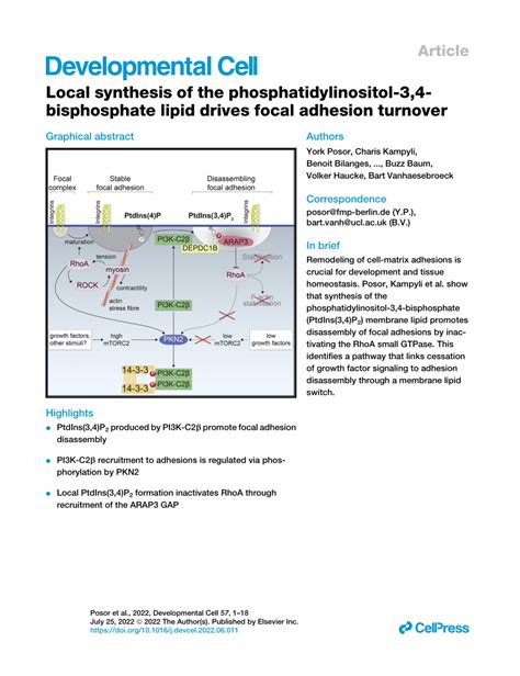 Pdf Local Synthesis Of The Phosphatidylinositol 34 Bisphosphate Lipid Drives Focal Adhesion