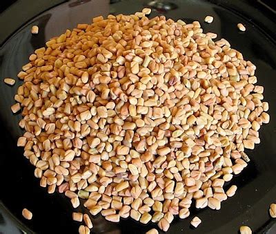Helba Tea Health Benefits - Nefertiti Co.