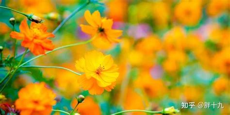 每一次哭泣，都是在洗净我们的心灵 知乎