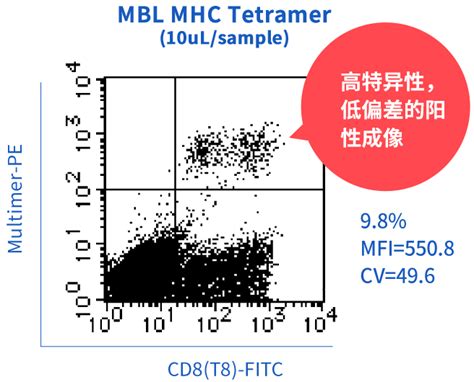 Mbl Mhc Tetramer 四聚体
