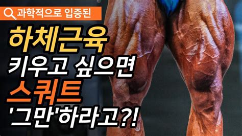 스쿼트 없이 이런 하체를 만들어 낸다고 하체근육을 키우는 기막힌 방법 압도적으로 효과가 좋은 하체운동 5가지 Youtube