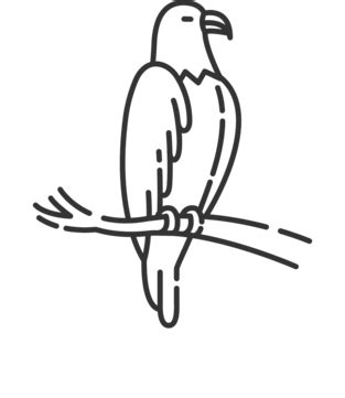 Python Linear Icon Python Predator Wild Vector Python Predator Wild PNG And Vector With