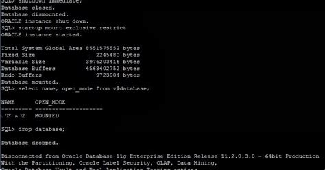 How To Use Drop Database Command In Oracle 11gr2