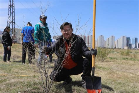 “Тэрбум мод” хөтөлбөр хэрэгжсэнээр “Үндэсний цэцэрлэгт хүрээлэн” жил бүр тарих модны тоогоо 3 5