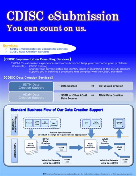 Services 【cdisc Implementation Consulting Services】 【cdisc