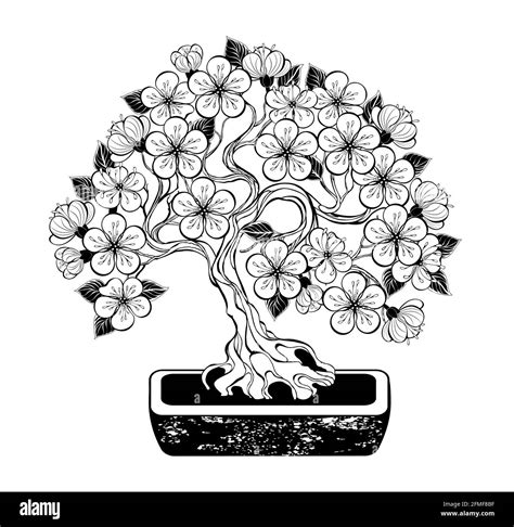 Japanese Bonsai Tree Drawing