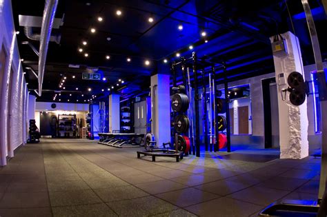 Evolutionary Evolutionary Performance Systems