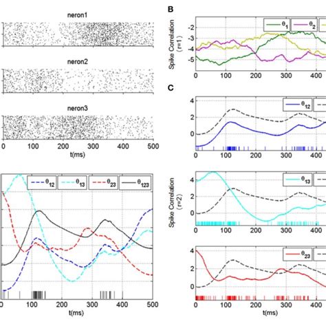 Estimation Of Spike Correlations For Simulation Data Of Three
