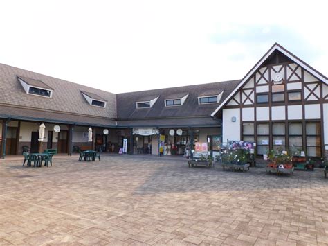 【鹿児島】絶景の「大隅半島」をめぐる旅の写真（かのやバラ園）