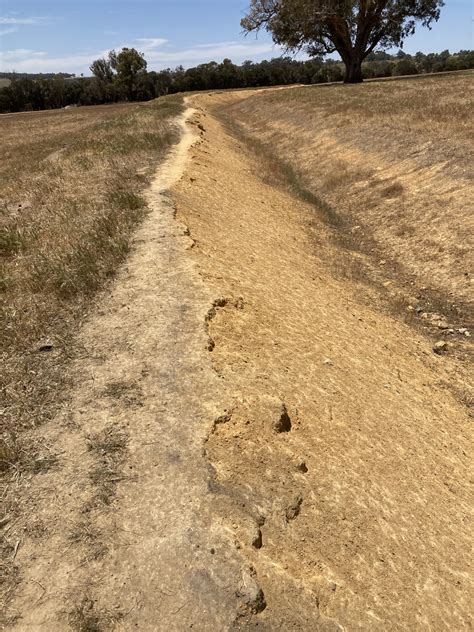Drought Adaptation Mixed Farm South West Nrm