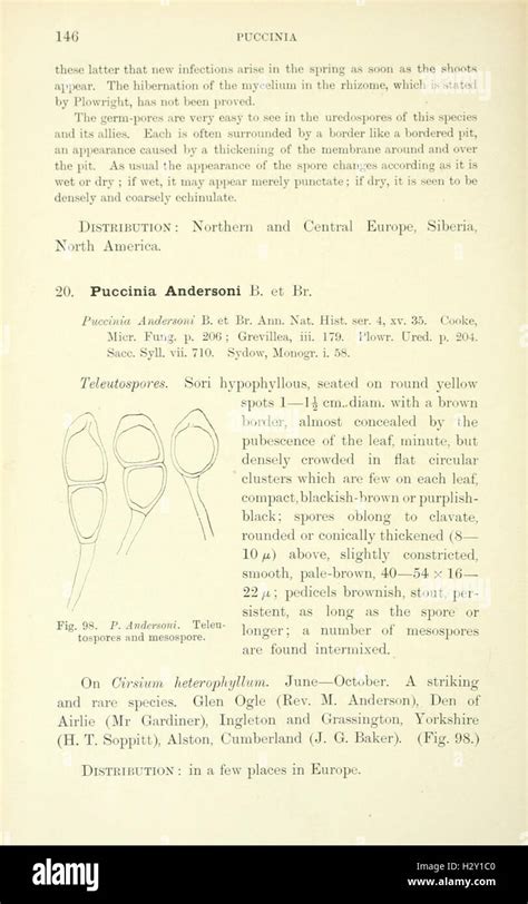 A Scientific Examination Of British Rust Fungi Focusing On Their