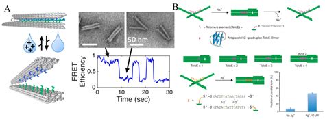 Recent Advances In Dynamic Dna Nanodevice