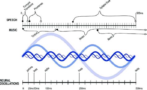 1 Timescales Of Speech And Music Characteristics Different