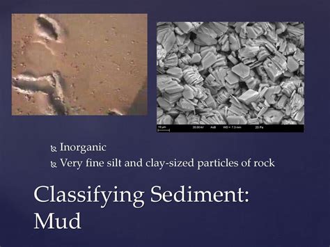Ocean Sediments Chapter 23 Section Ppt Download