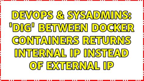 devops and sysadmins dig between docker containers returns internal ip