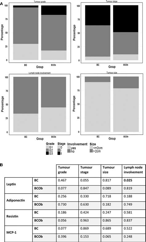 Tumour Histopathological Characterization A Graphics Show The