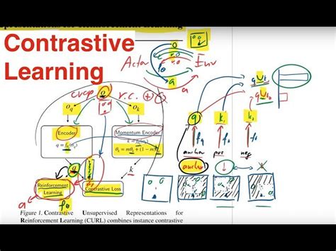 Free Video Curl Contrastive Unsupervised Representations For Reinforcement Learning From