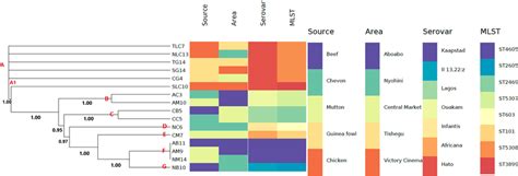 The Whole‐genome Mlst Phylogenetic Branch And Metadata Wgs In‐silico Download Scientific