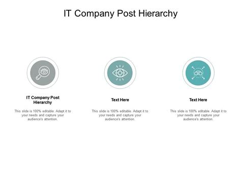 IT Company Post Hierarchy Ppt Powerpoint Presentation Portfolio Graphics Example Cpb
