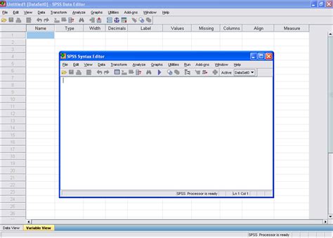 SPSS Basics Getting Started With Syntax Ben Baran Ph D Thinker