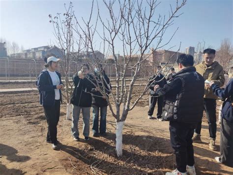 科技园区开展春季果树修剪教学实践活动 科技园区办公室