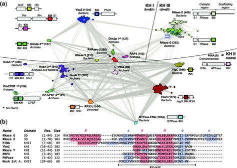 Classification And Alignment Of Prokaryotic Kh And Kh Like Sequences Download Scientific