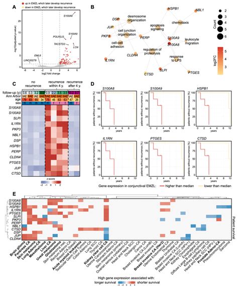 Rna Sequencing Identifies Prognostic Transcriptome Signature Associated Download Scientific